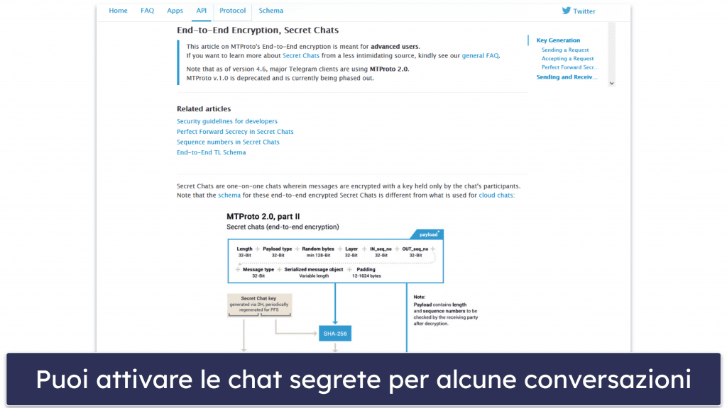 Telegram è sicuro? La guida completa alla privacy 2024