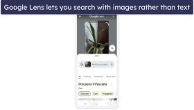 Is Google Lens Safe? Your Quick Guide for 2025